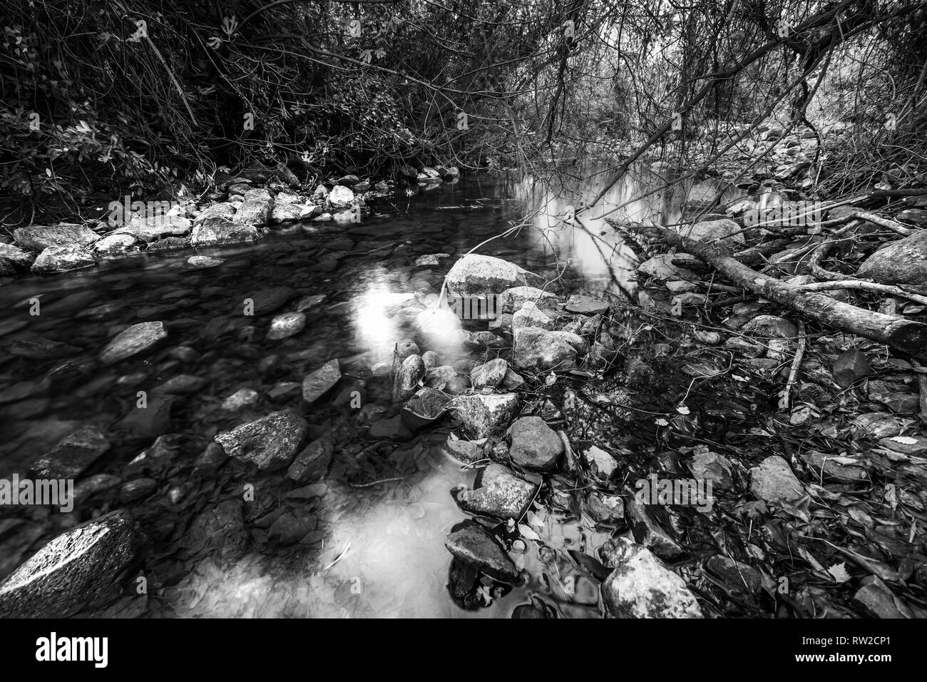 Dan river nature reserve, israel Stock Photo - Alamy