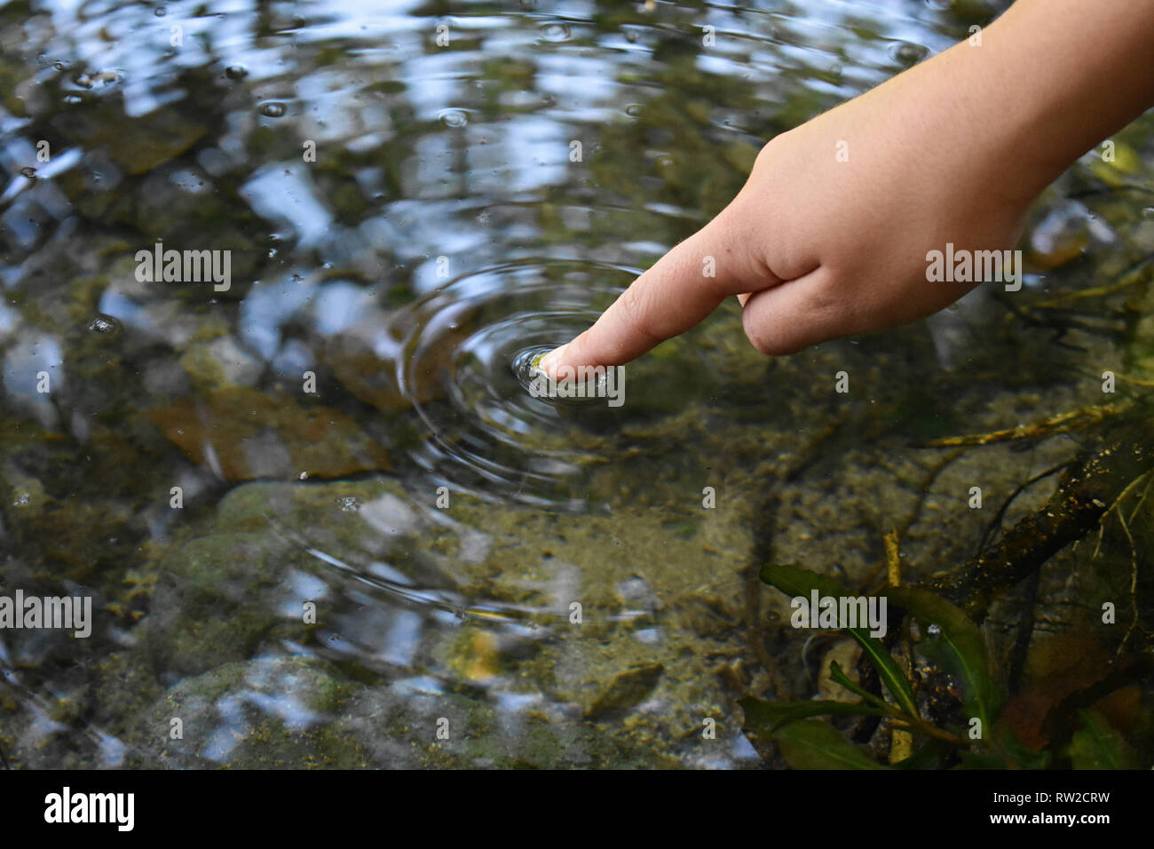 Close up finger touches water and drop of water falling and creating ...