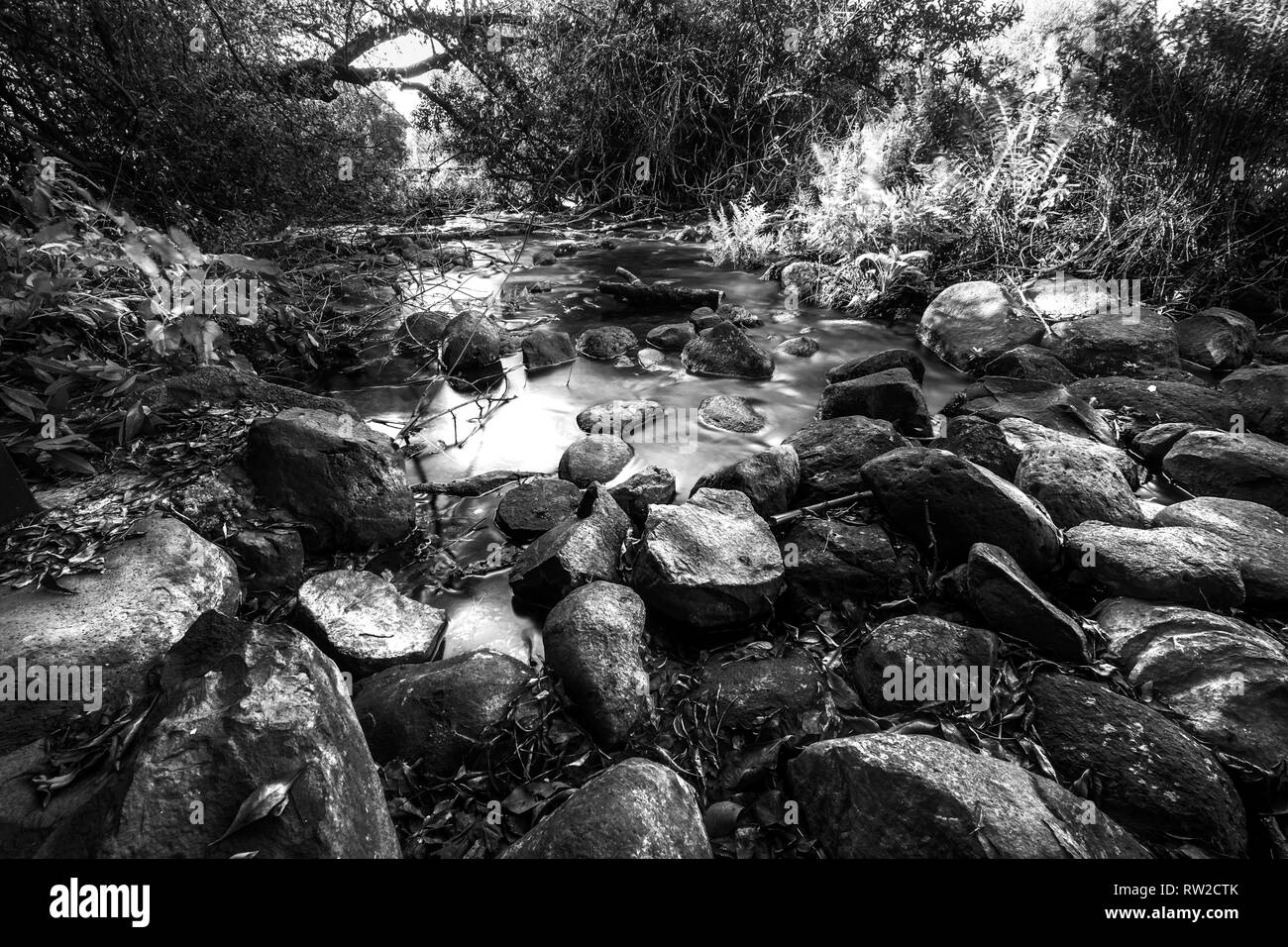 black and white landscape of rocks and water at Dan river nature ...