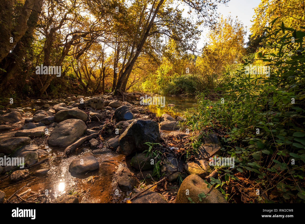 Snir river nature reserve, Israel Stock Photo - Alamy