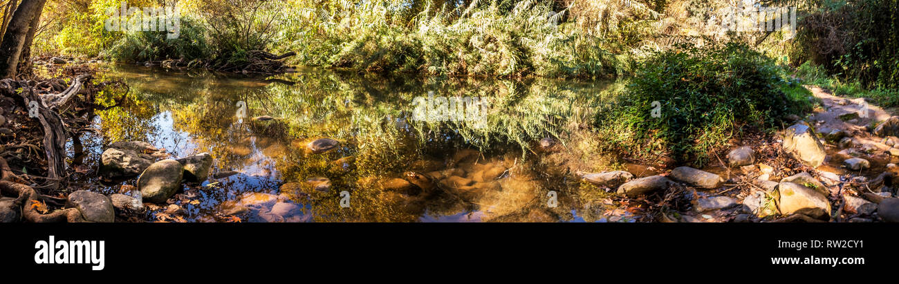 Snir river nature reserve, Israel Stock Photo - Alamy