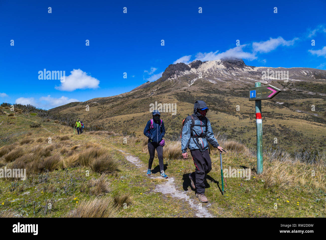 Group of climbers walking a path in the Pichincha Stock Photo - Alamy