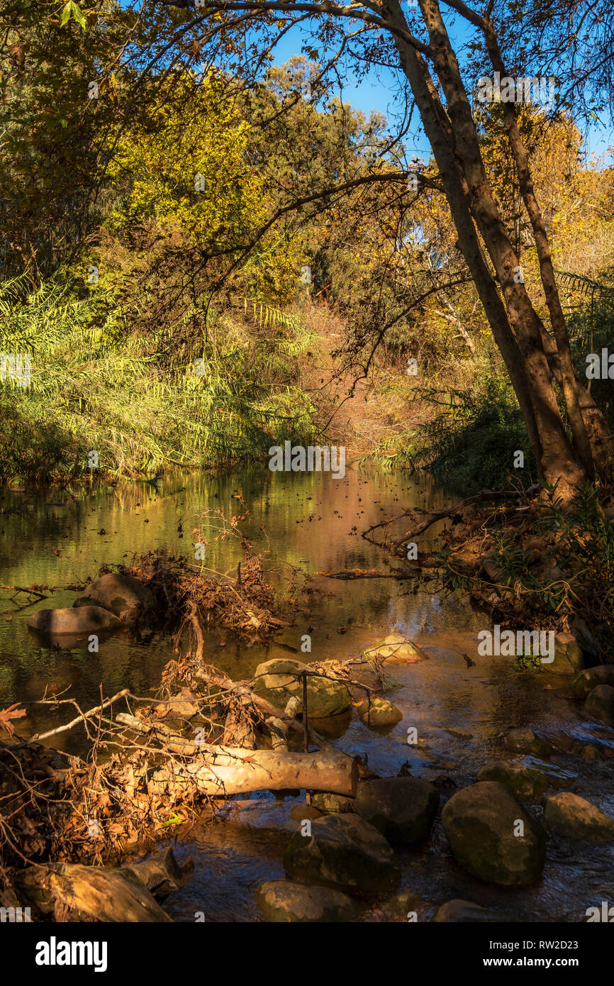 Snir river nature reserve, Israel Stock Photo - Alamy