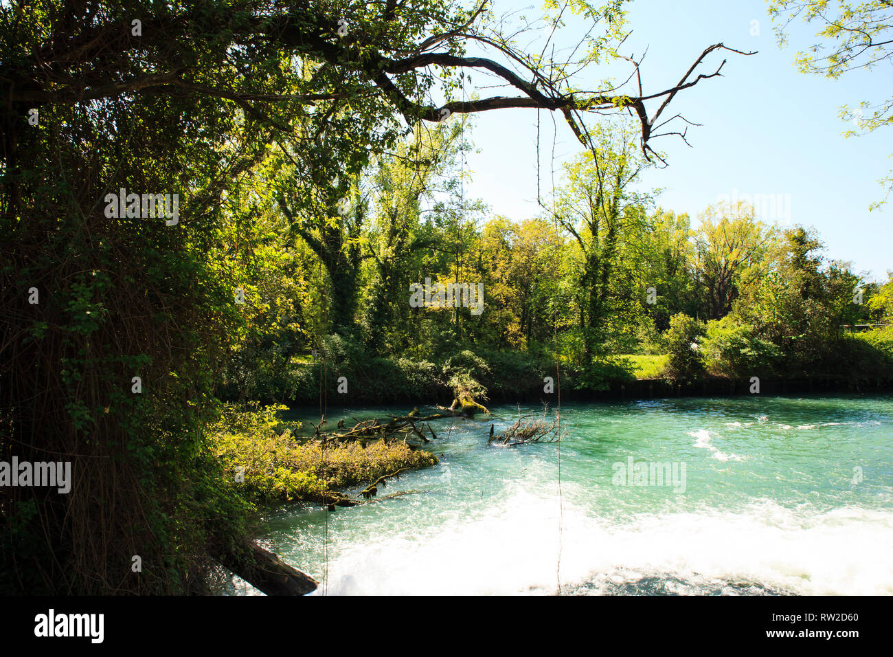 View of the Resurgence of the Timavo river, Duino Stock Photo - Alamy