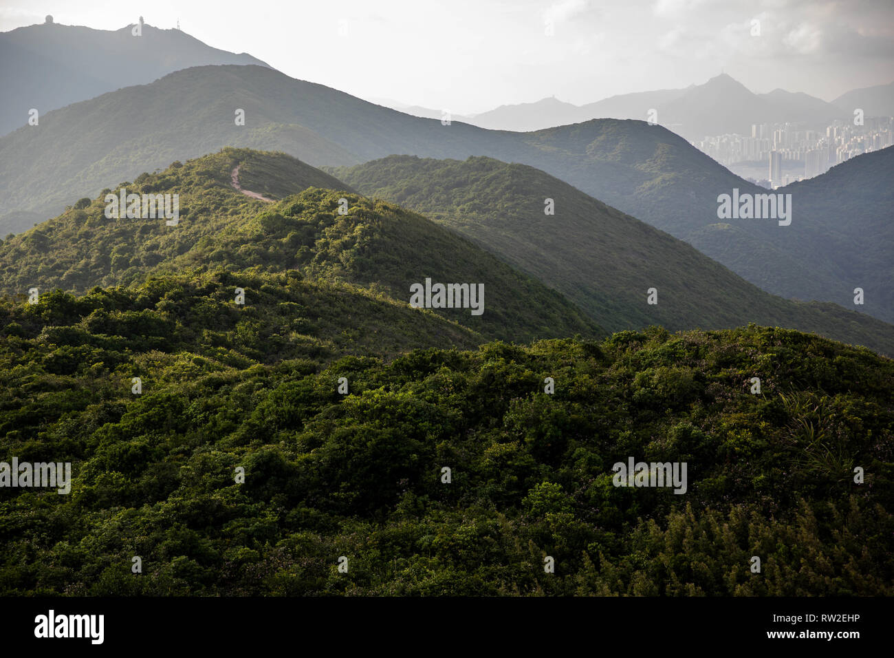 Dragons back hong kong hi-res stock photography and images - Alamy