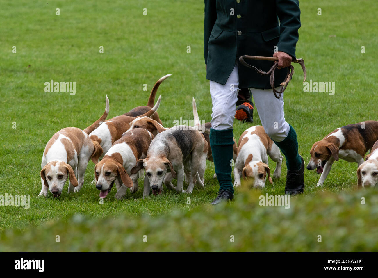 Harrogate, North Yorkshire, UK - July 12th, 2018: Hunt leaders led ...