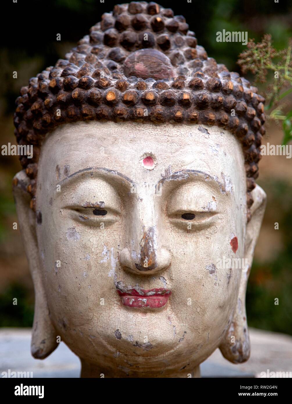 Beautiful head of the buddha hi-res stock photography and images - Alamy