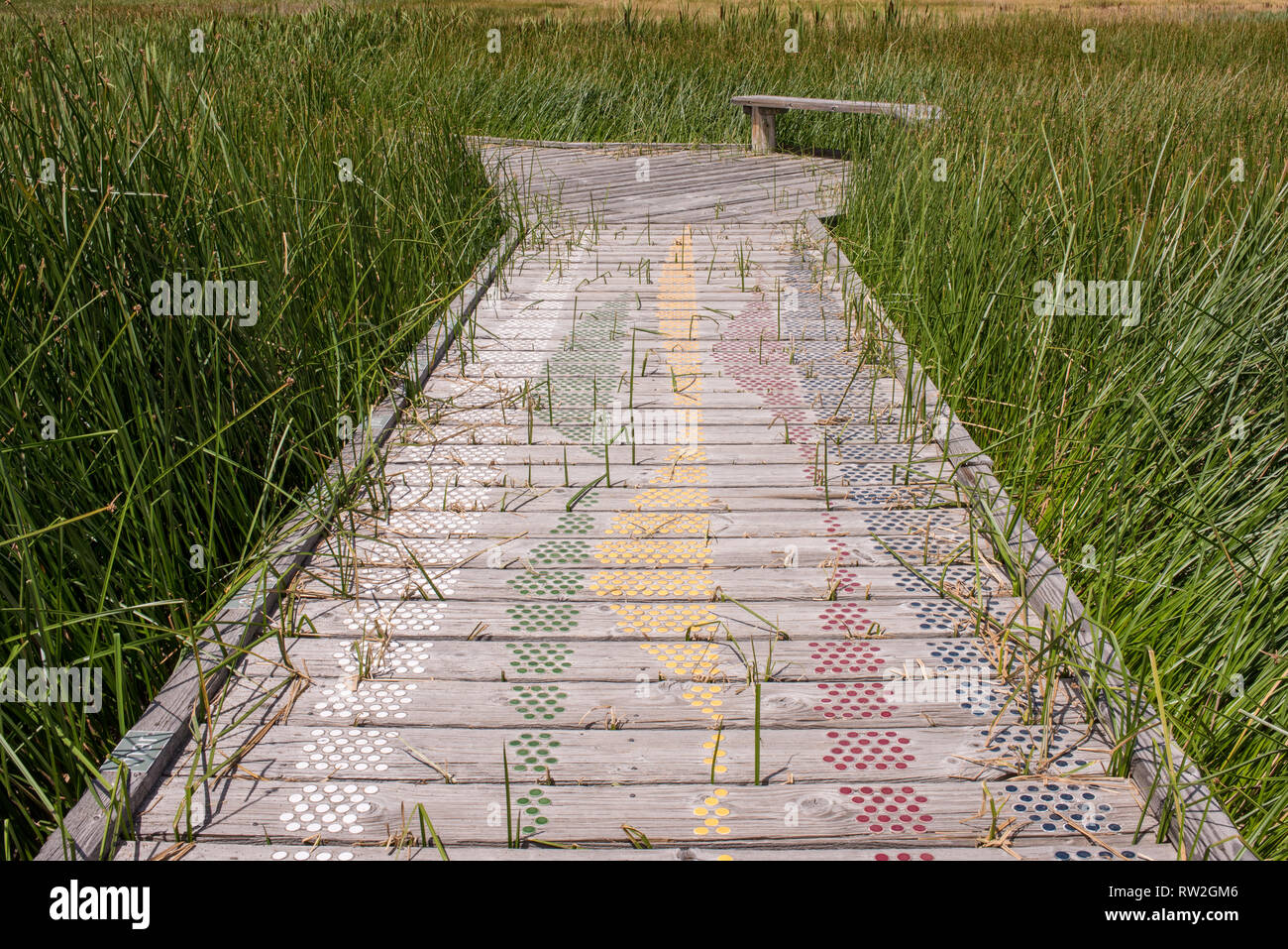 Utah wetlands nature preserve hi-res stock photography and images - Alamy