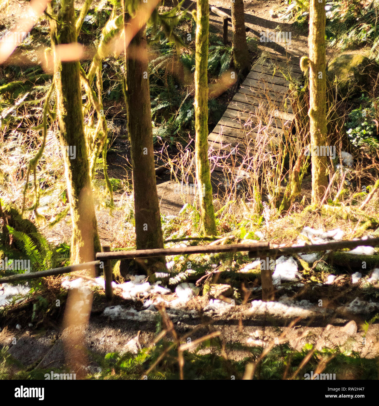 Sunlight peering hi-res stock photography and images - Alamy