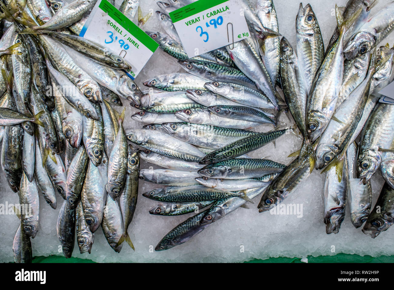 fish for sale in La Boqueria Food Market in Barcelona ,Spain Stock ...