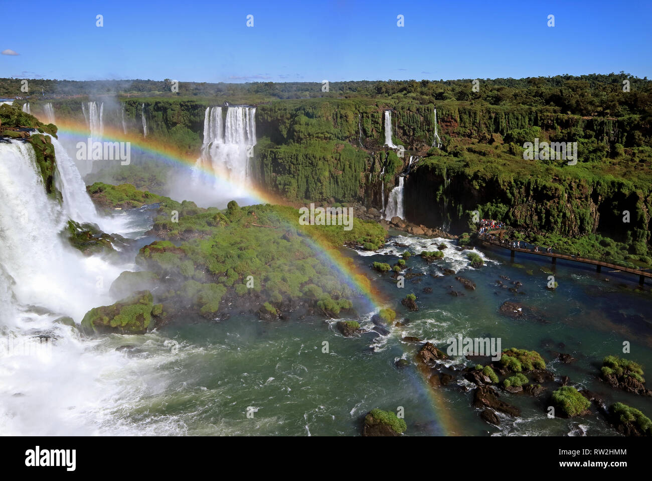 Rainforest boardwalk side view hi-res stock photography and images - Alamy