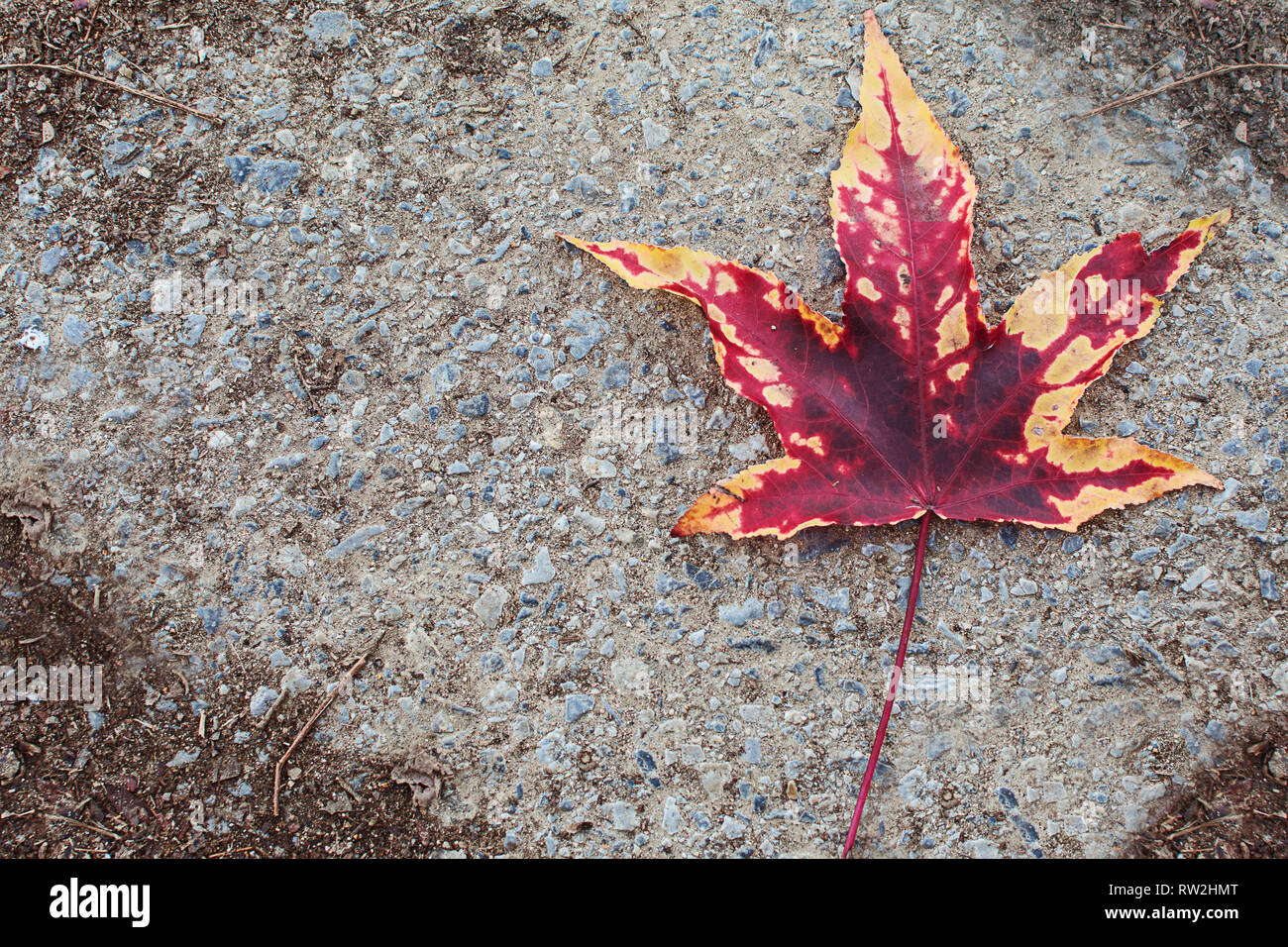 Asphalt ground hi-res stock photography and images - Alamy