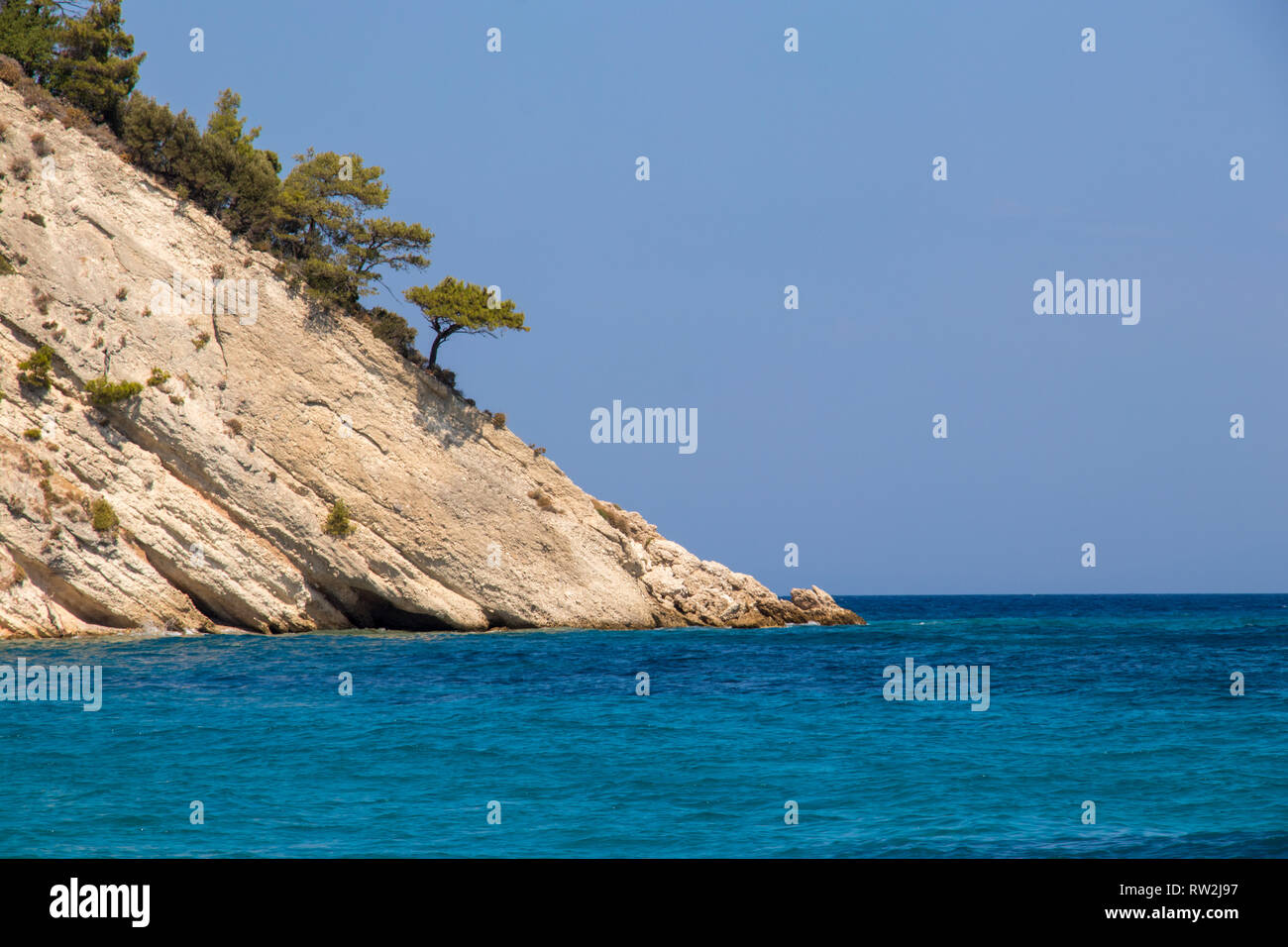 trees growing on rocks near ocean Stock Photo - Alamy
