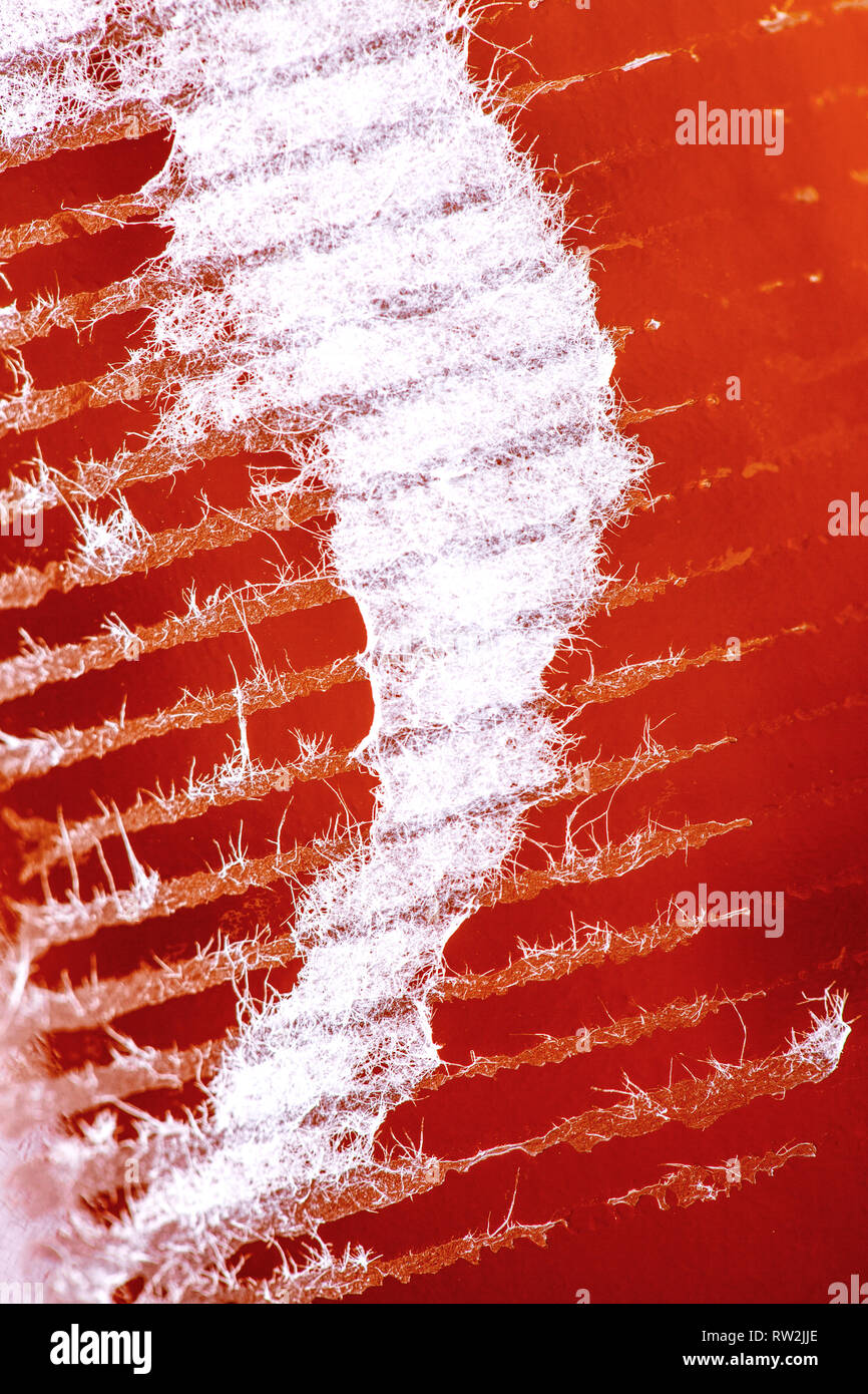 Ripped bottle label hi-res stock photography and images - Alamy