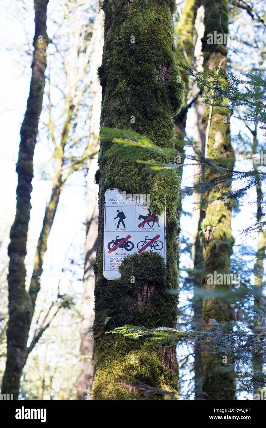 Moss on a walking trail hi-res stock photography and images - Alamy