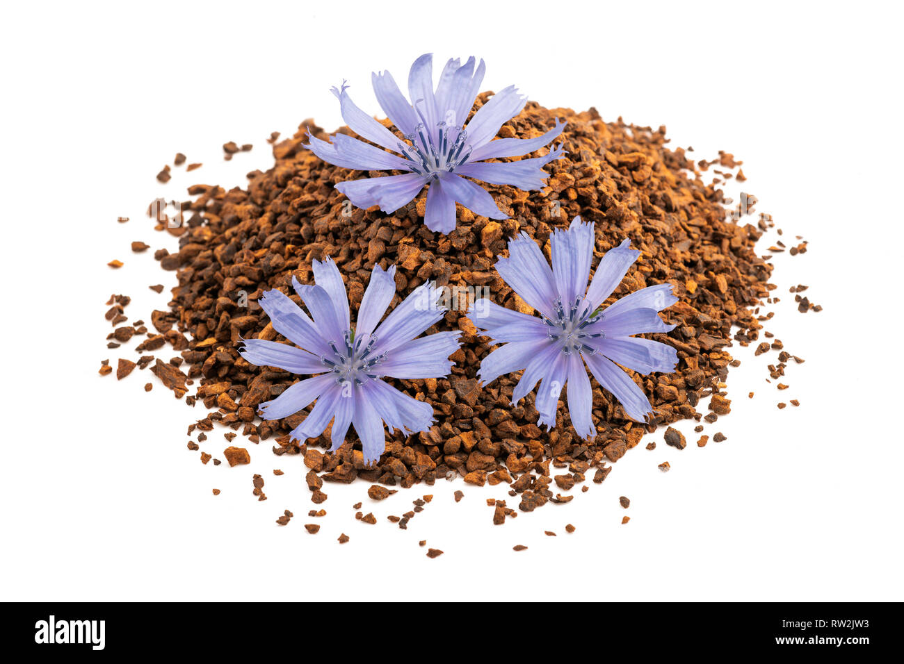 chicory flowers with soluble chicory isolated on white Stock Photo - Alamy