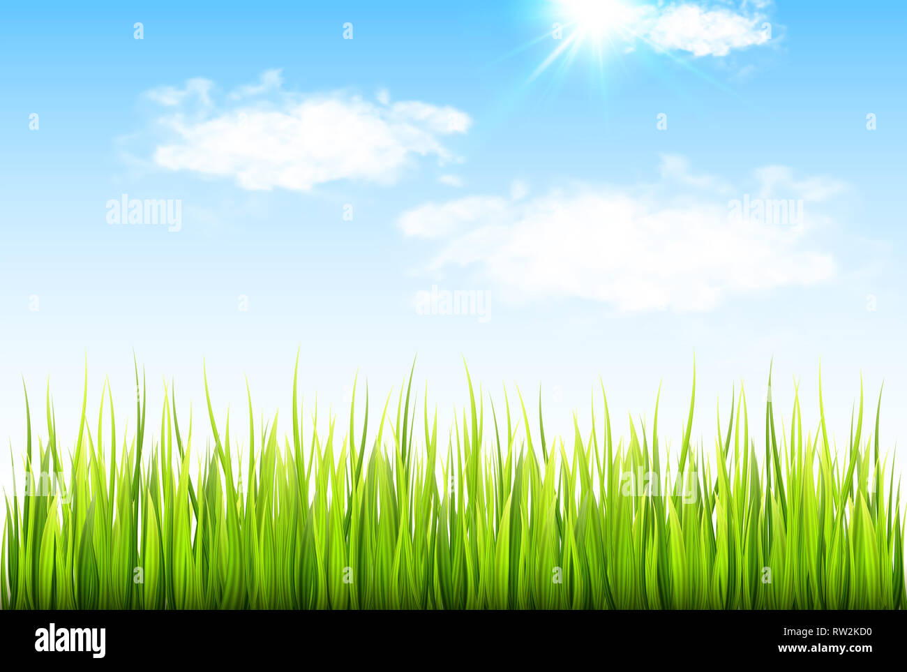 Spring background with fresh green grass and blue sky with clouds Stock ...