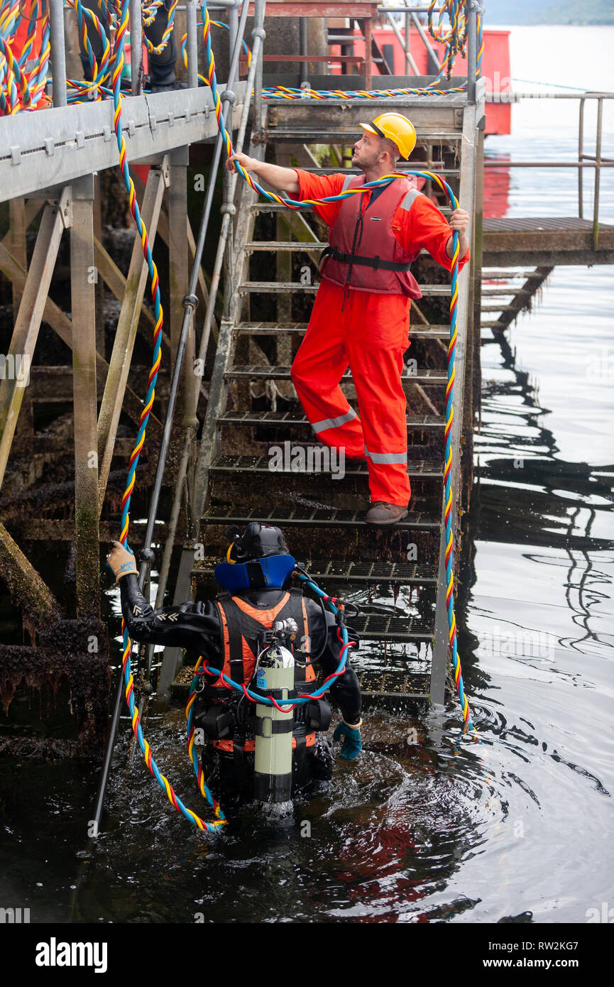 Trainee divers practise their skills in all aspects of the trade from ...