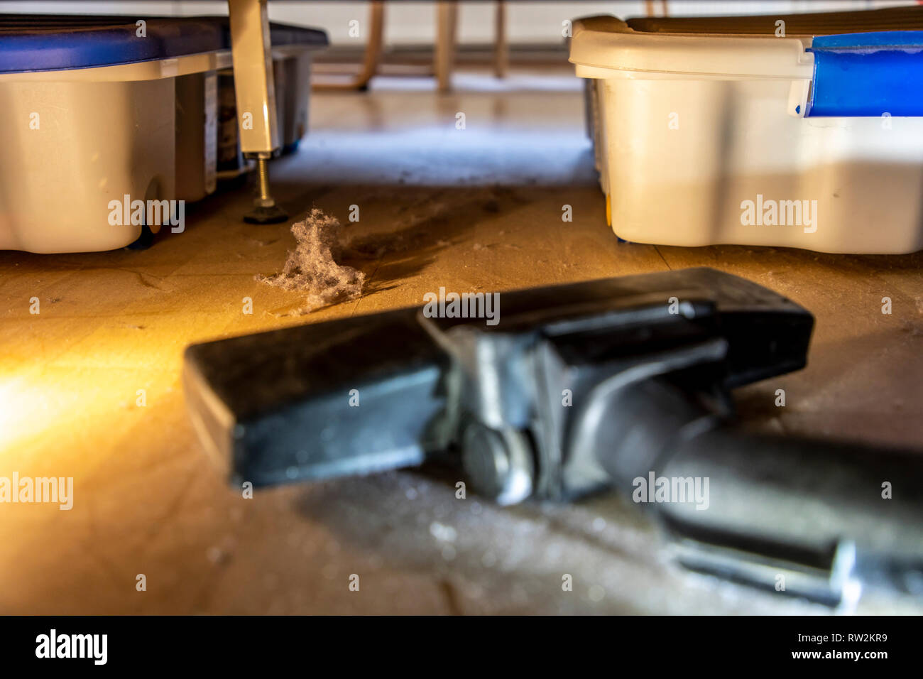 Dust mites bed hi-res stock photography and images - Alamy