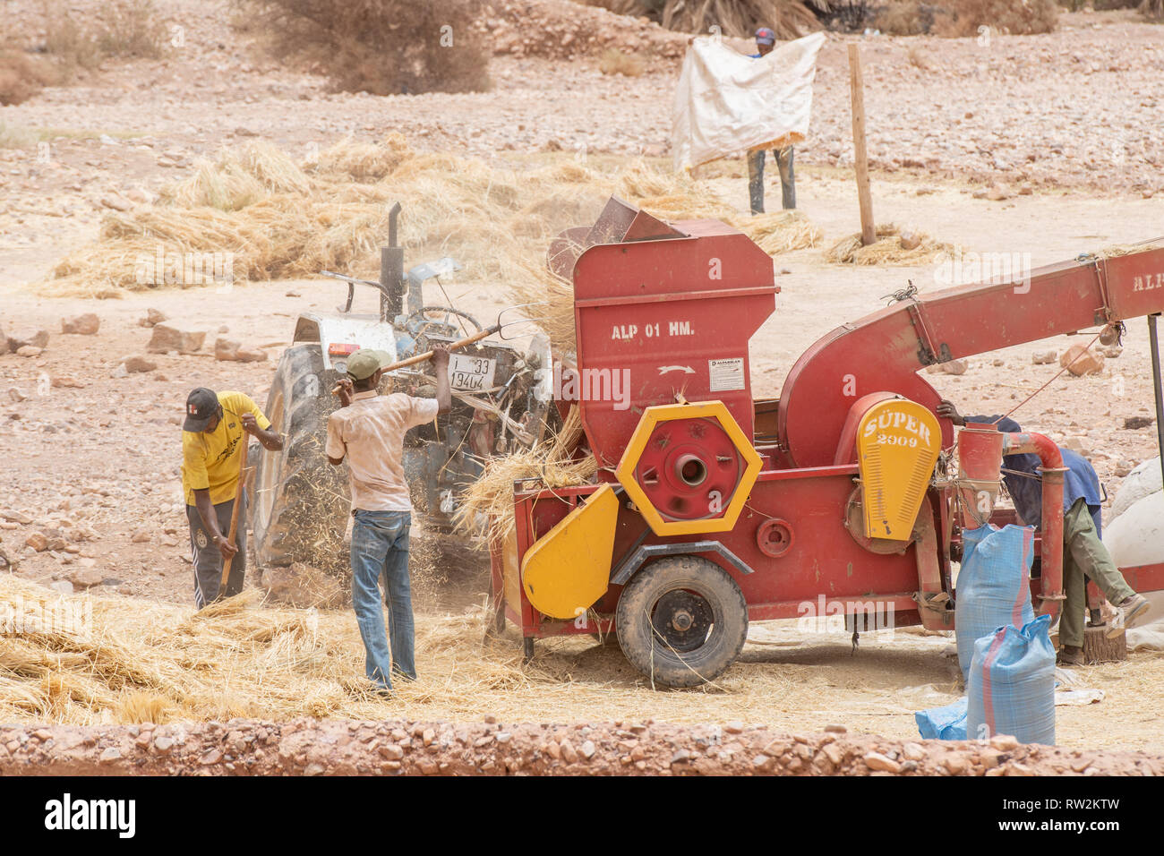 Threshing wheat with stand alone threshing machine, Akka, Tata Province ...