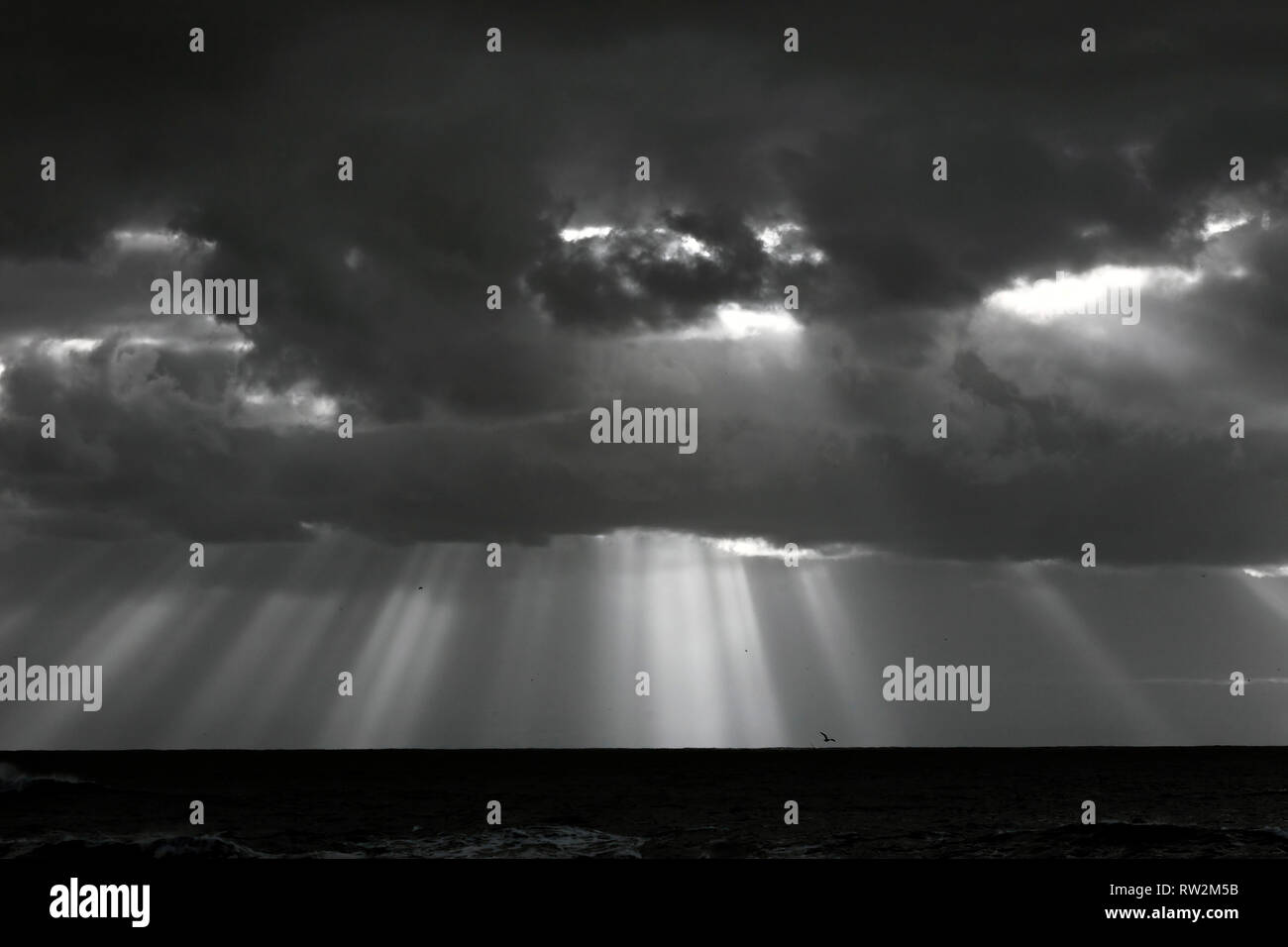 Sunbeam sunbeams horizontal black hi-res stock photography and images ...