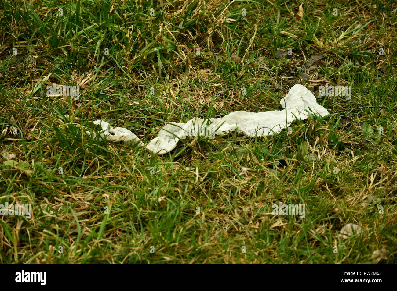 outdoor, outside, daylight,plastic pollution everywhere in nature ...