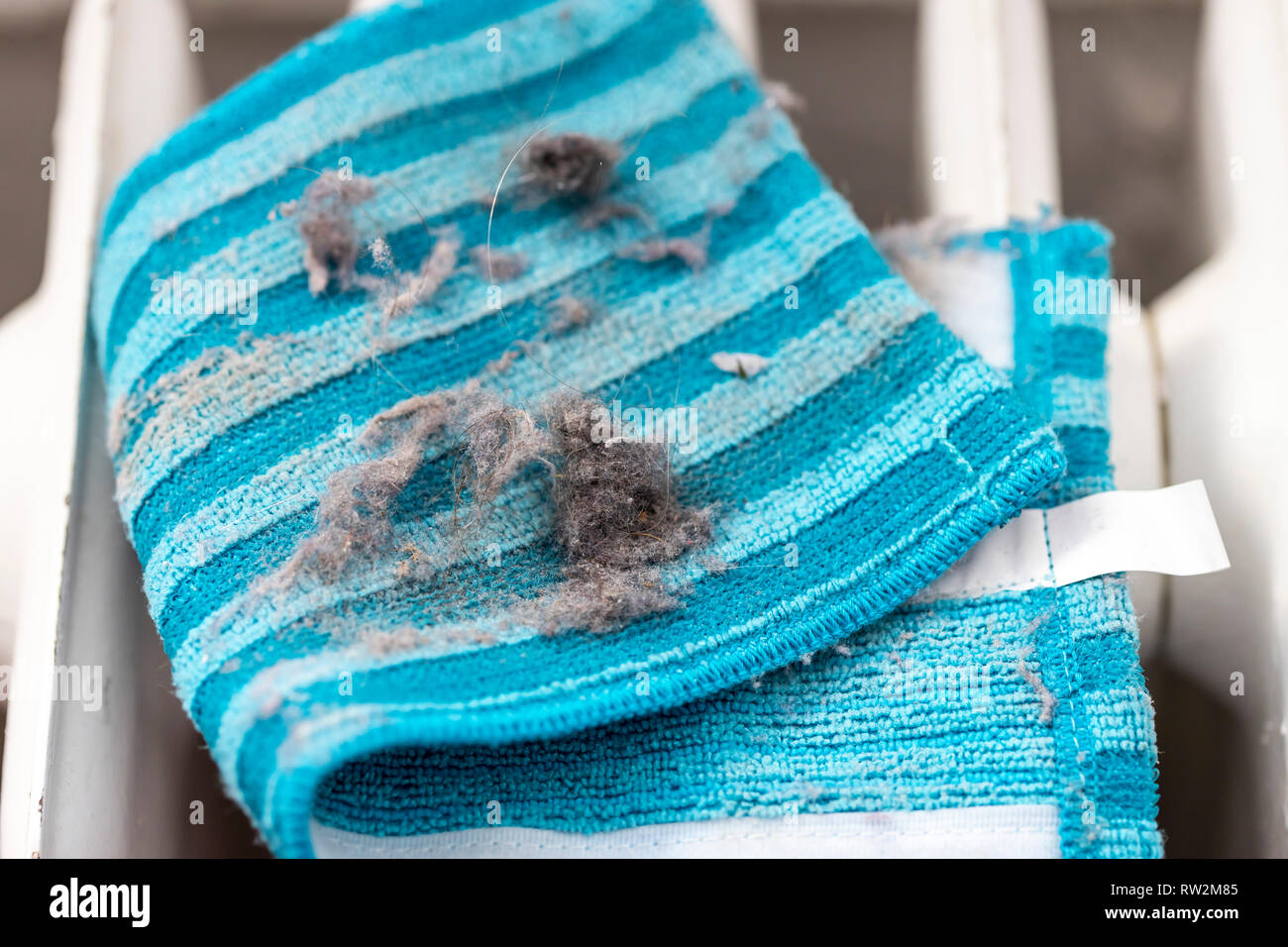 Dust mouse hi-res stock photography and images - Alamy