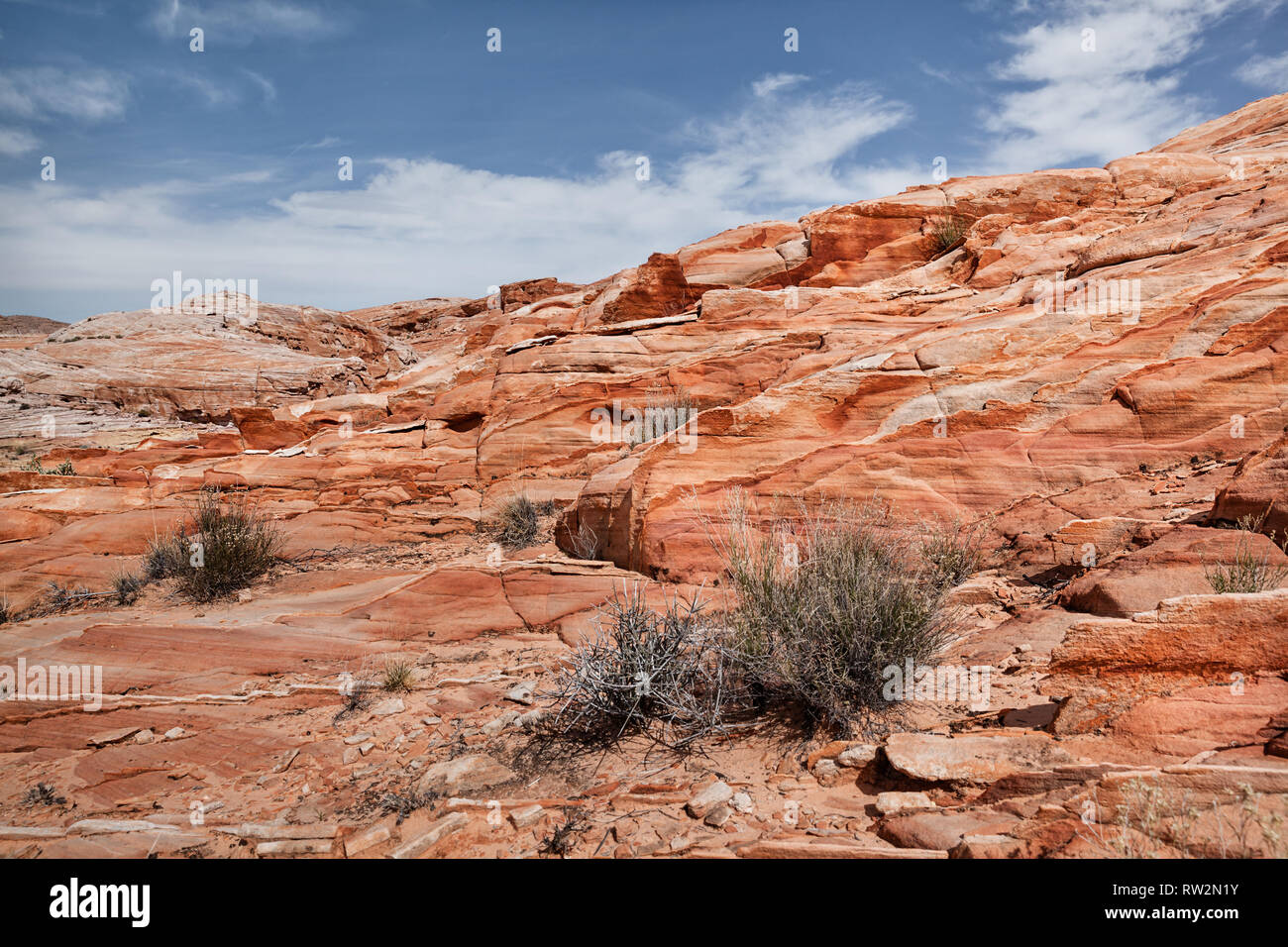 Colorful sandstone rocks at desert of Valley of Fire State Park ...
