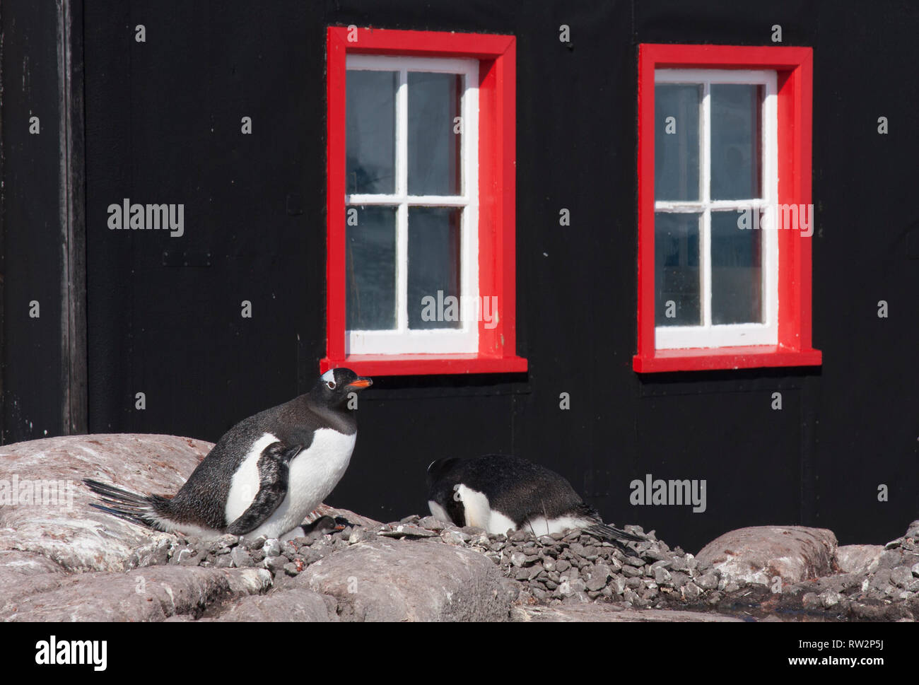 Polar post office hi-res stock photography and images - Alamy