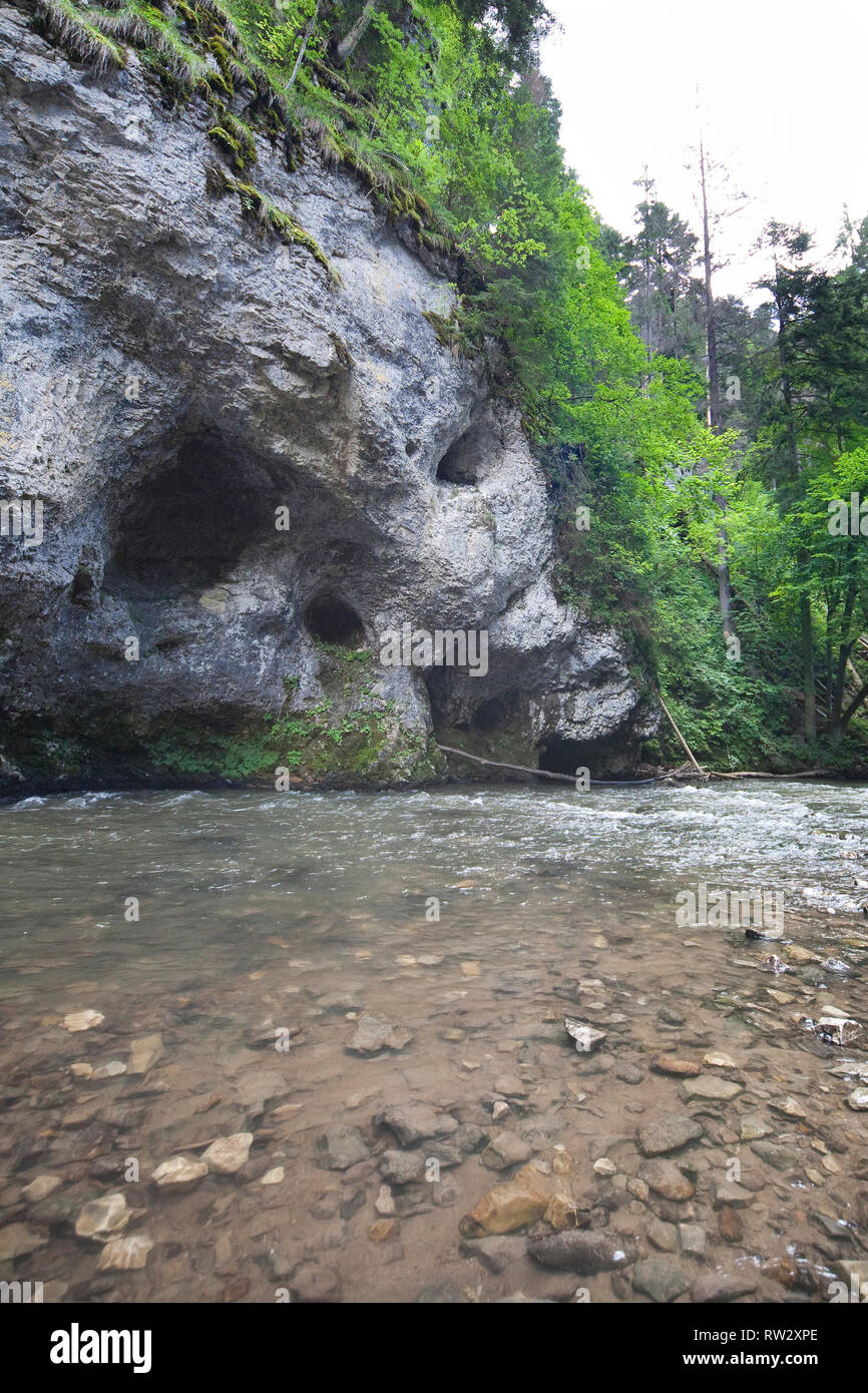 mountain river - Slovak Paradise National Park Stock Photo - Alamy