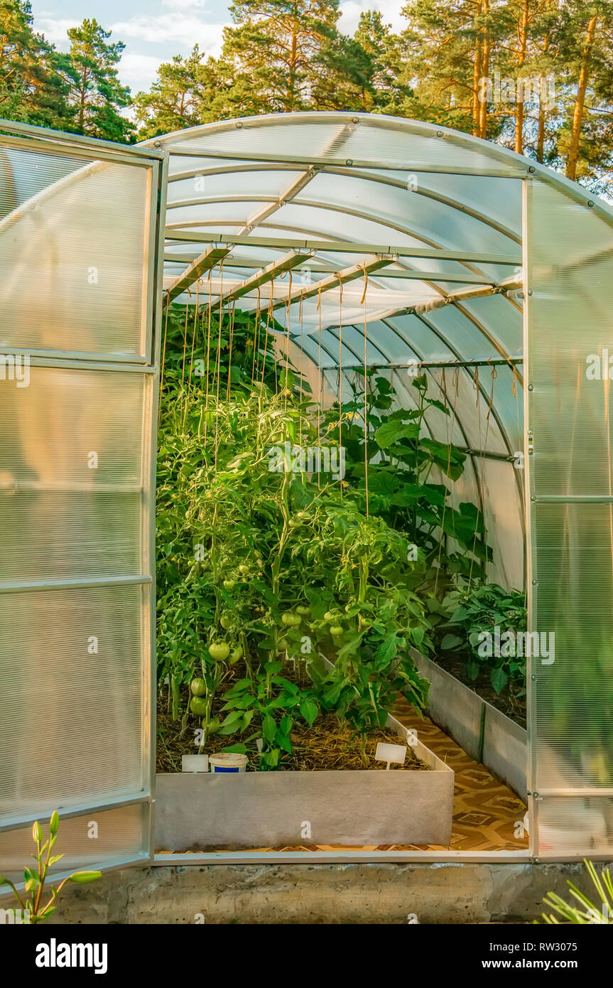 One Piece Plastic Greenhouse