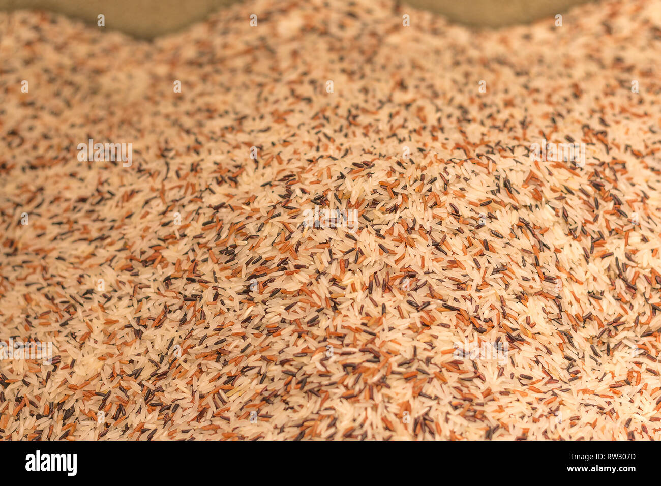 Rice on display in Bangkok Supermarket,Thailand. February 2019 Stock ...