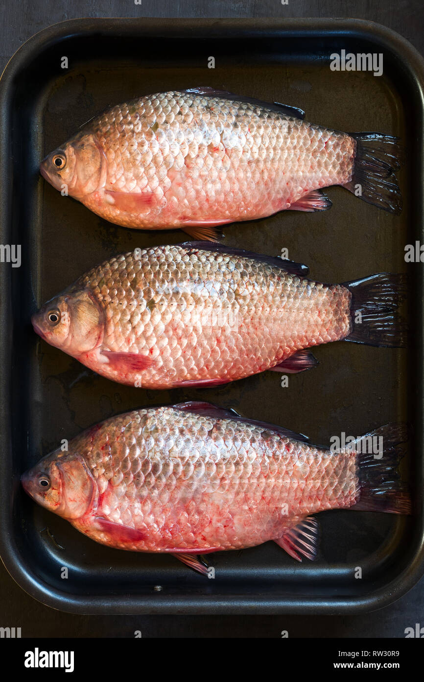 Carp in a boat hi-res stock photography and images - Alamy