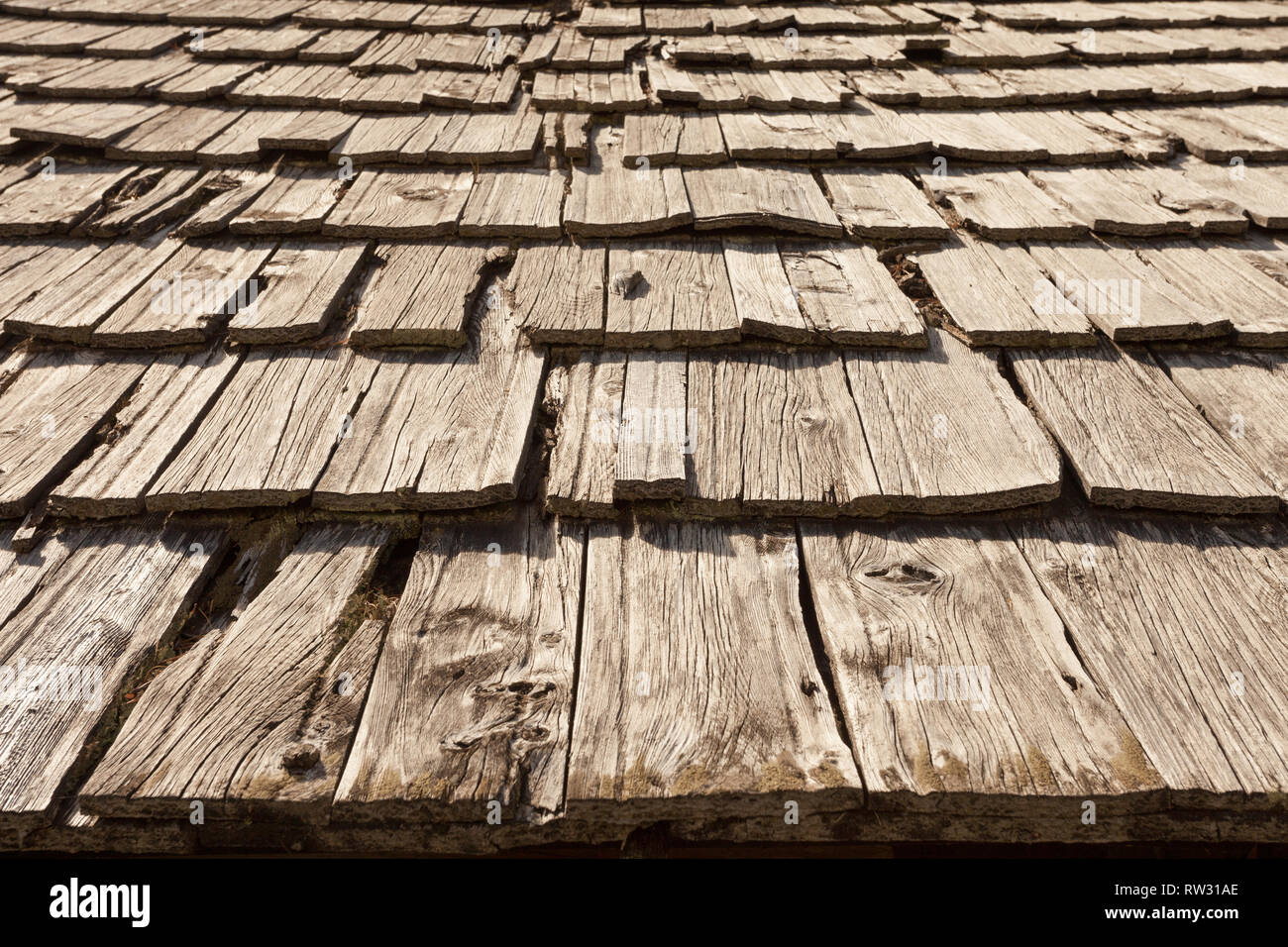 Natural pine wood panels from a wooden roof of a mountain stable Stock ...