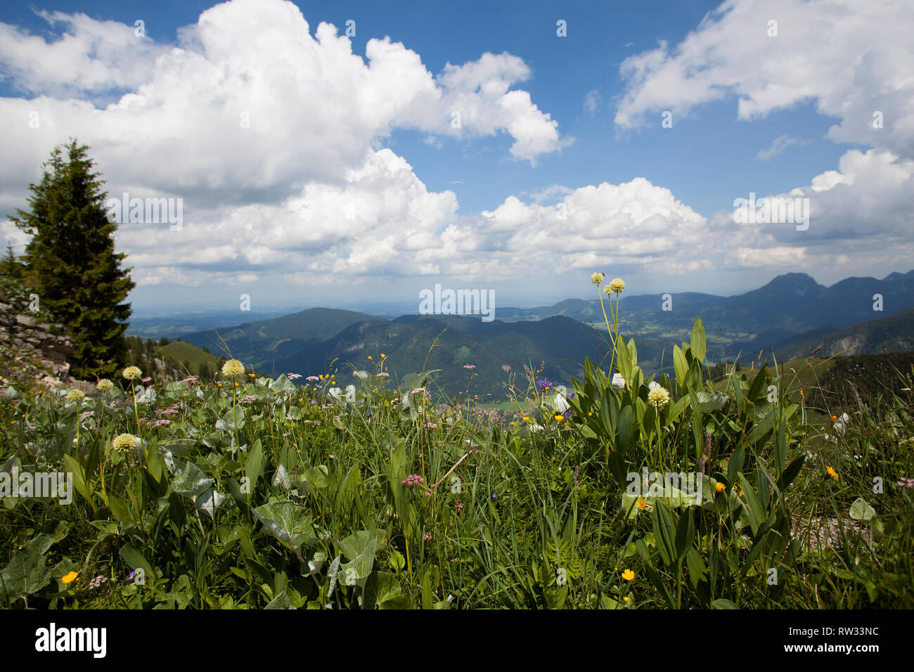 Panorama of mountain Brecherspitze, Bavaria, Germany in summertime ...