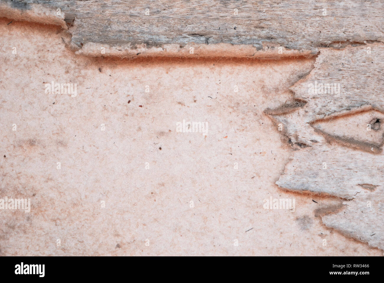 Torn wood texture hi-res stock photography and images - Alamy