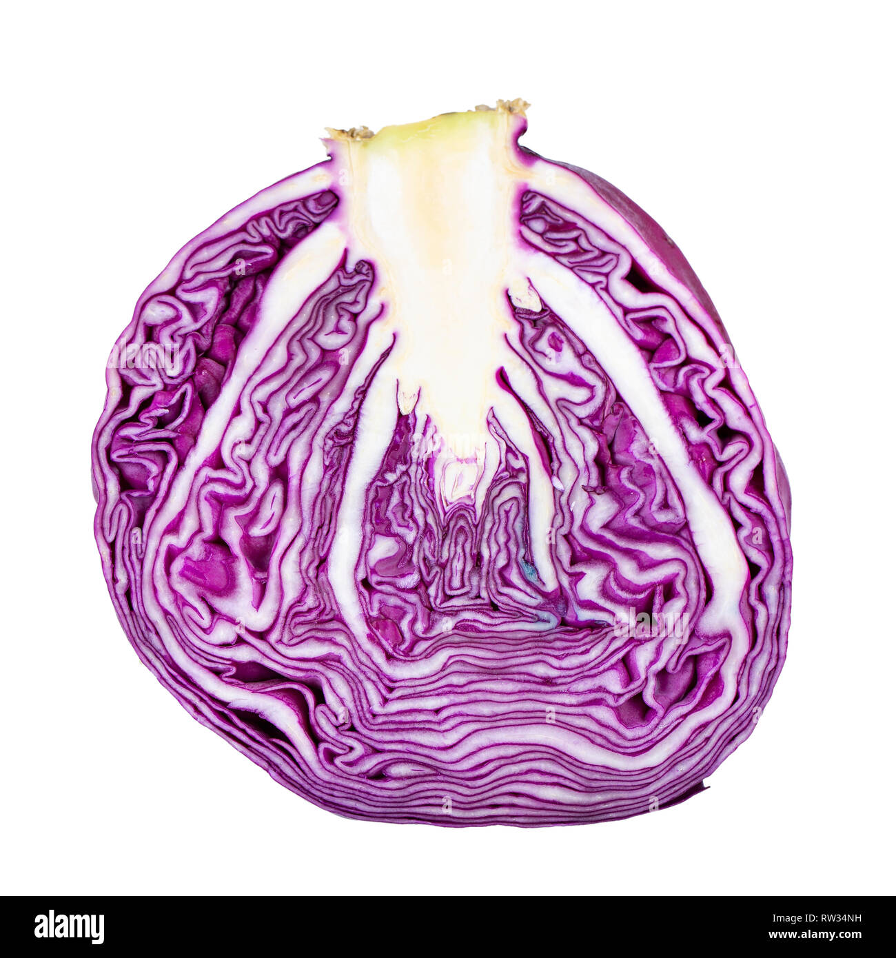 Purple cabbage cut isolated on white background. clearly visible ...