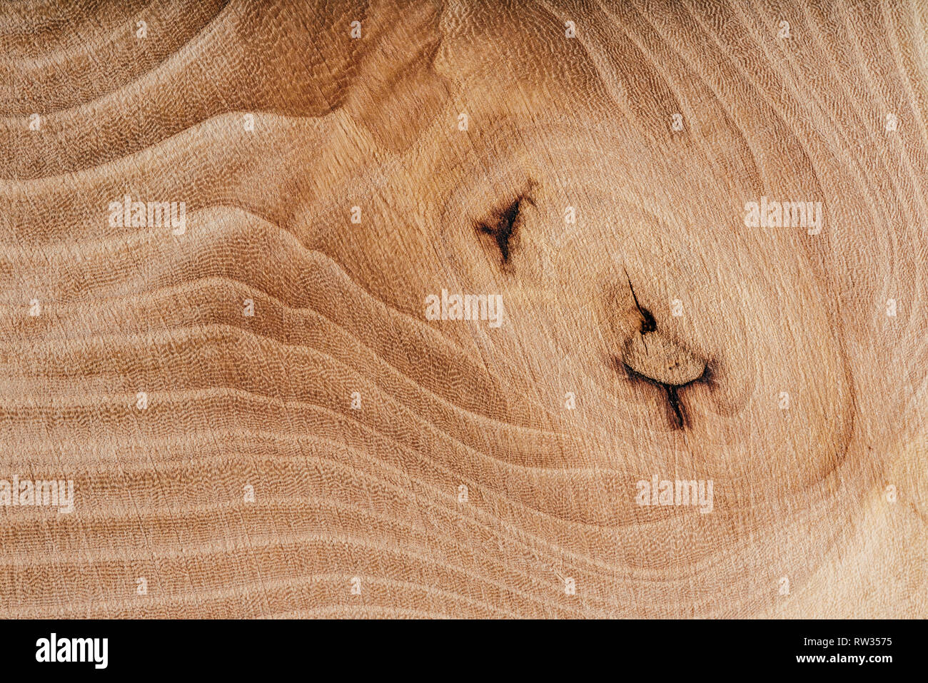 Ash wood slab texture with annual rings, background or wallpaper Stock ...