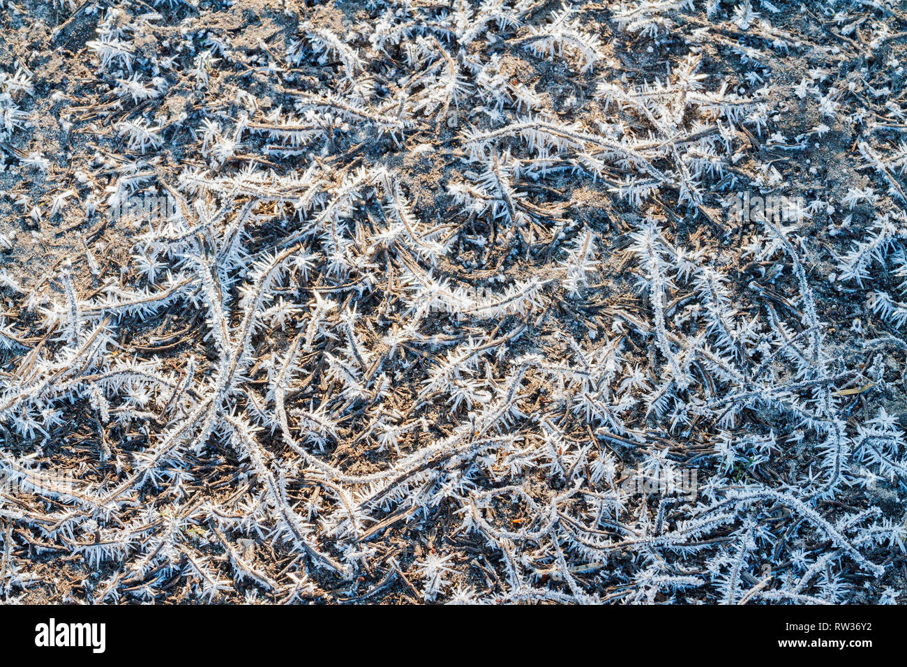 drawings on the ground and texture, natural textures Stock Photo - Alamy