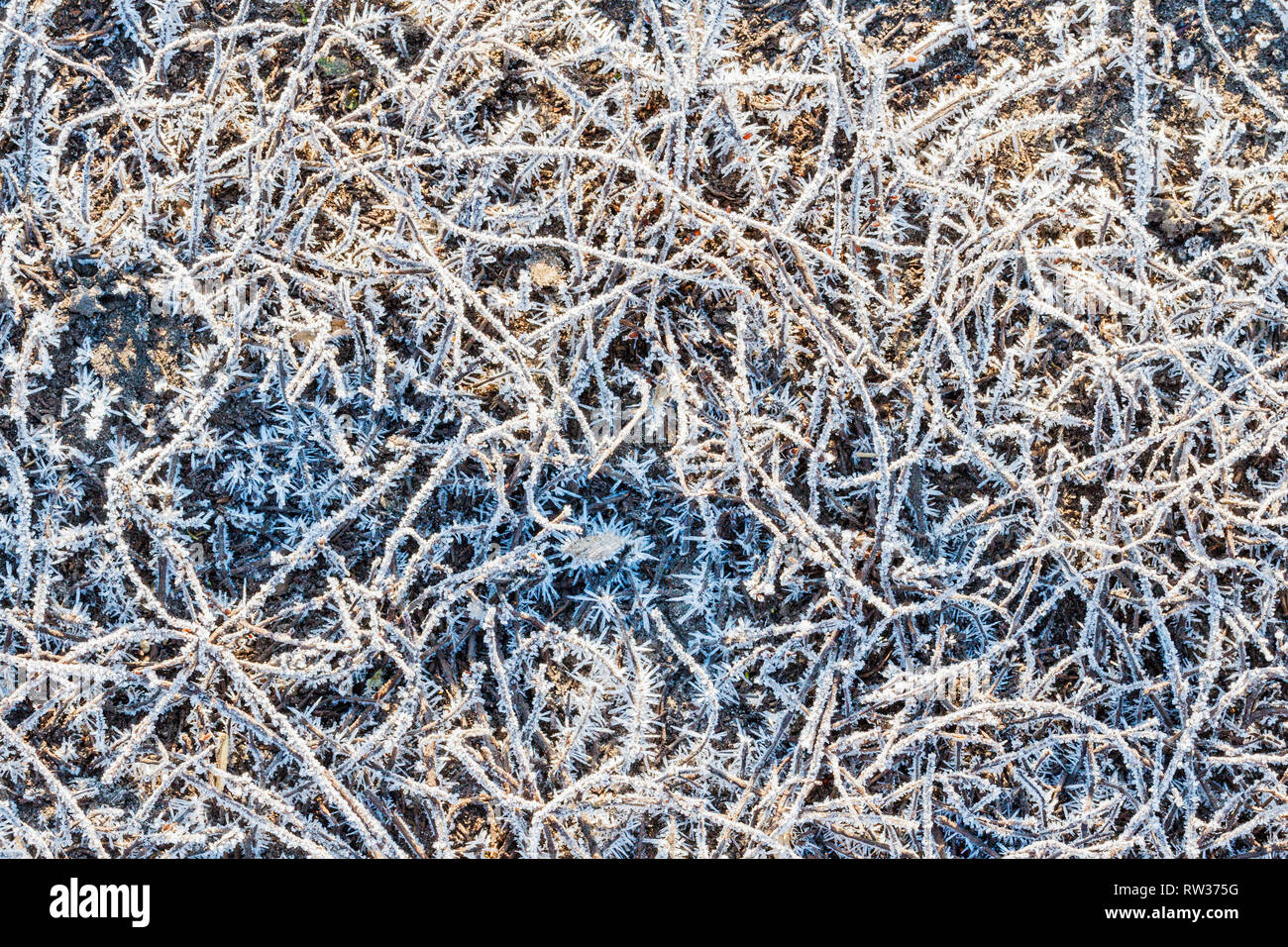 Frosty textures hi-res stock photography and images - Alamy