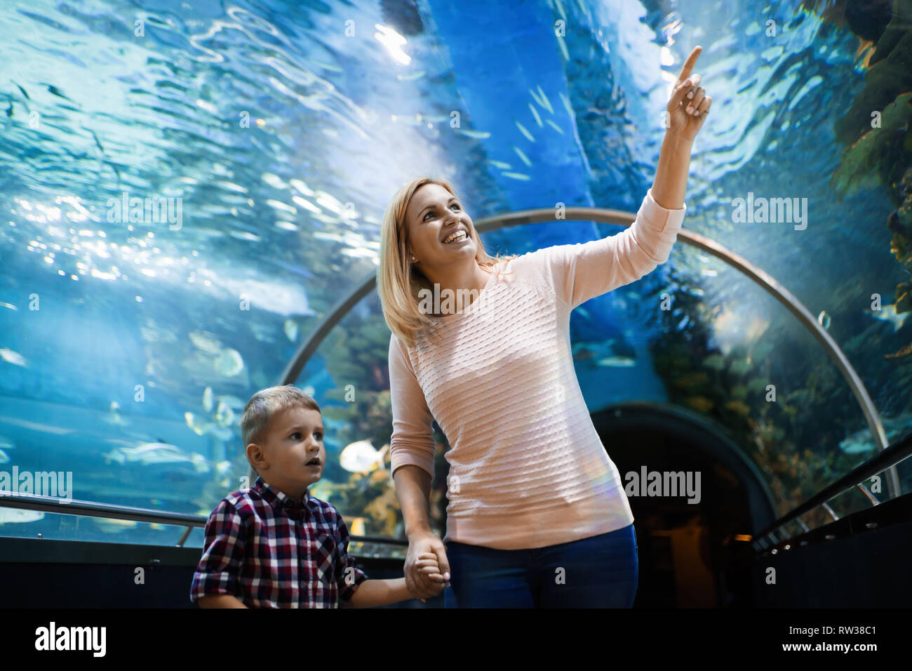 Family swimming with fish hi-res stock photography and images - Alamy