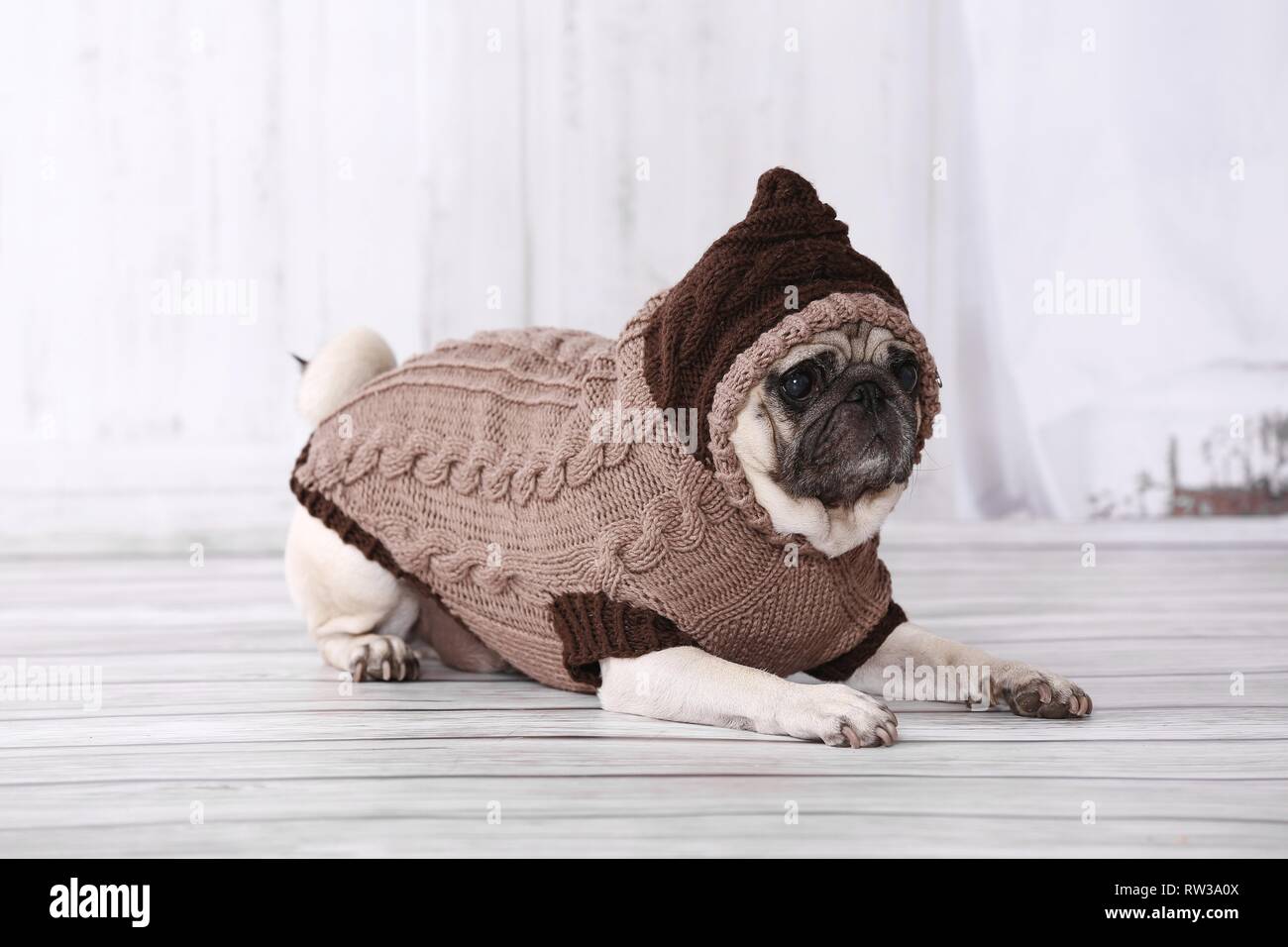 Hooded pullover hi-res stock photography and images - Alamy