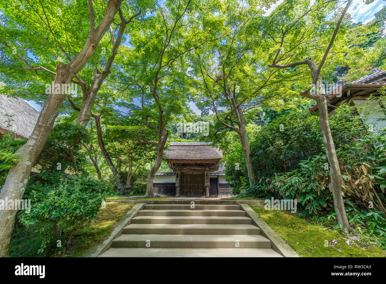 Engaku ji temple meditation hall hi-res stock photography and images ...