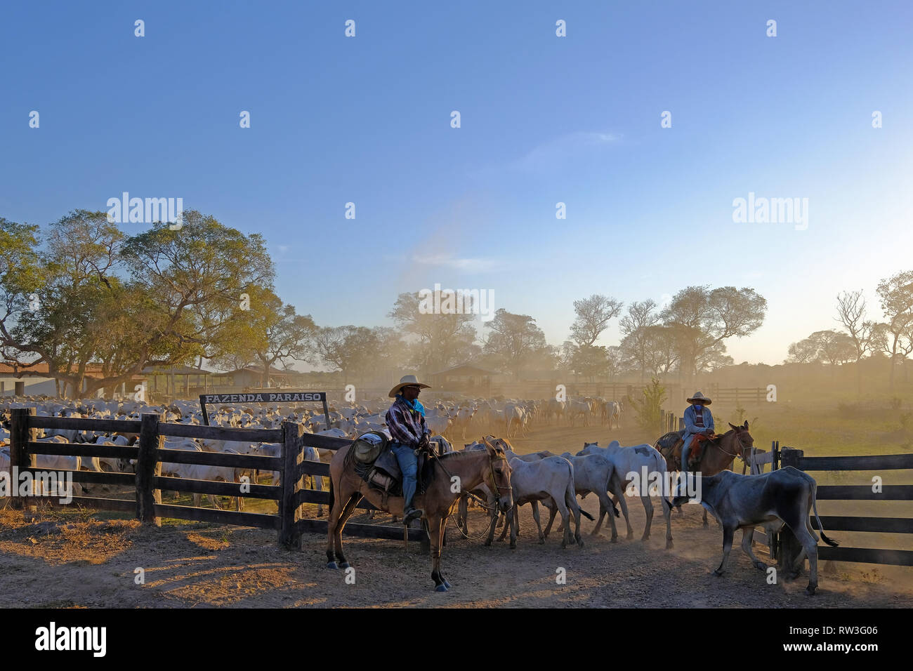Pocone, Mato Grosso, Brazil, July 29, 2018: Cowboys at a farm along the ...