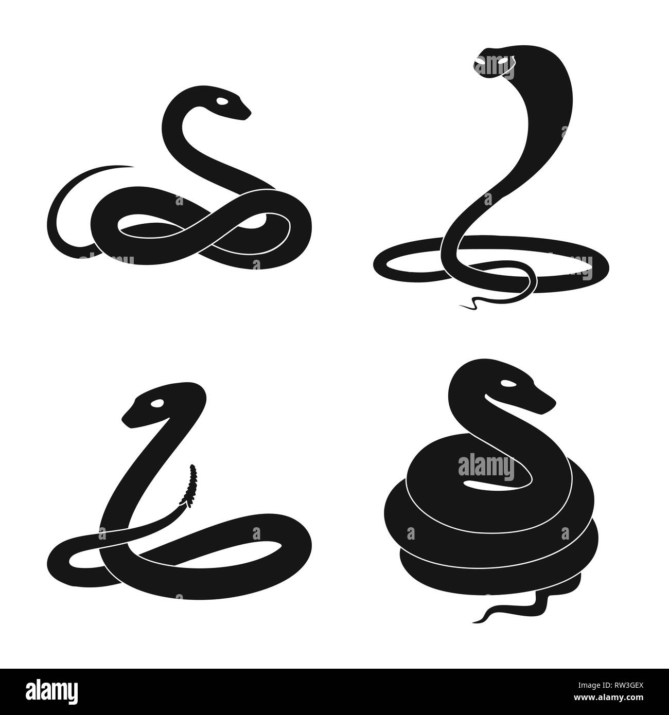 Coiled Snake Silhouette