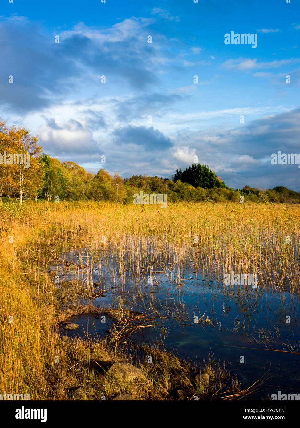 Lough Macnean on the Fermanagh Cavan border in Autumn Stock Photo - Alamy