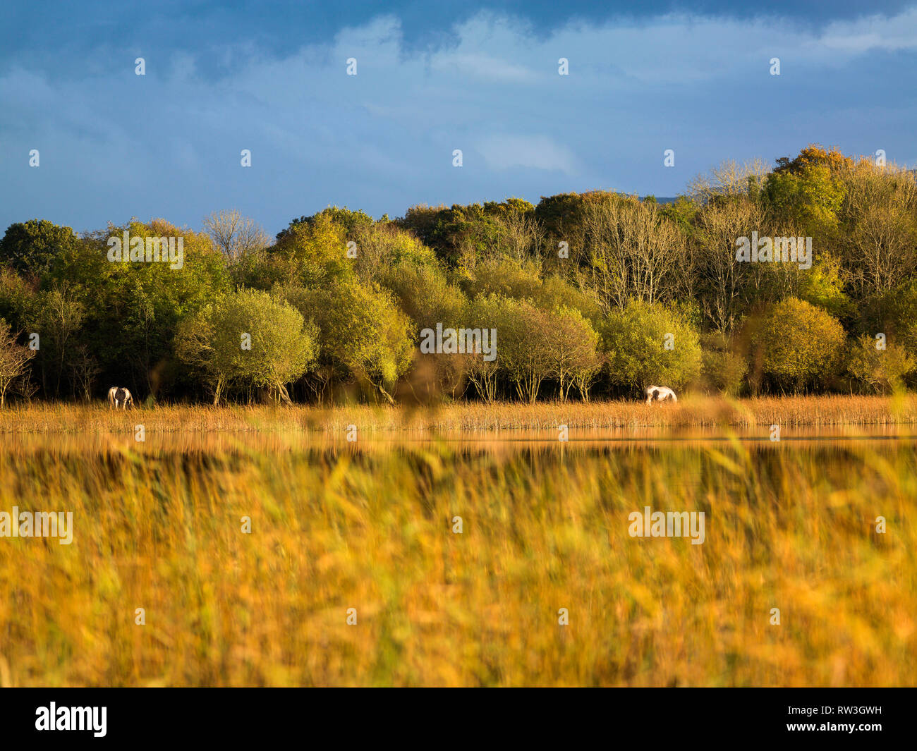 Fermanagh Cavan Border High Resolution Stock Photography and Images - Alamy