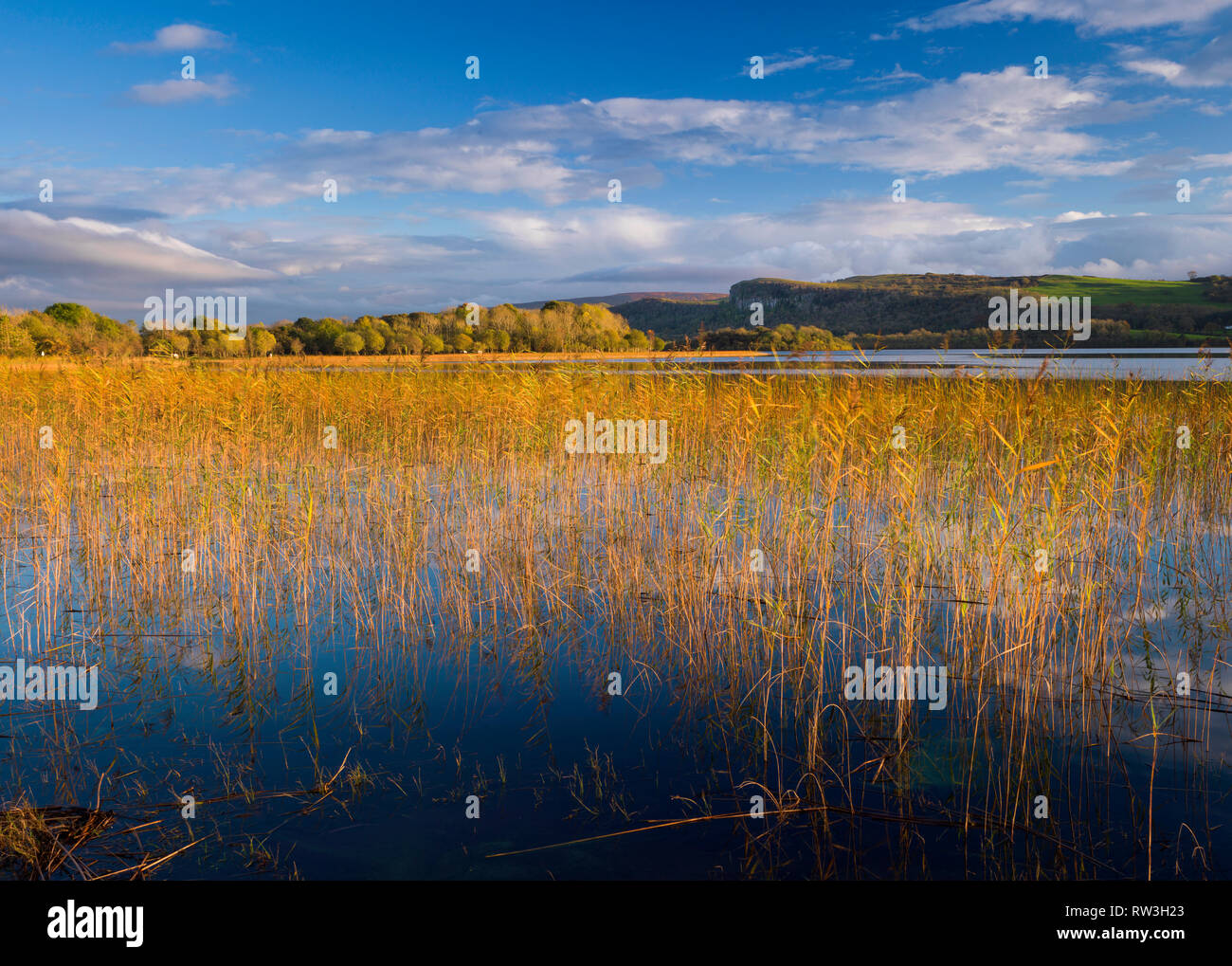 Lough Macnean on the Fermanagh Cavan border in Autumn, County Fermanagh ...