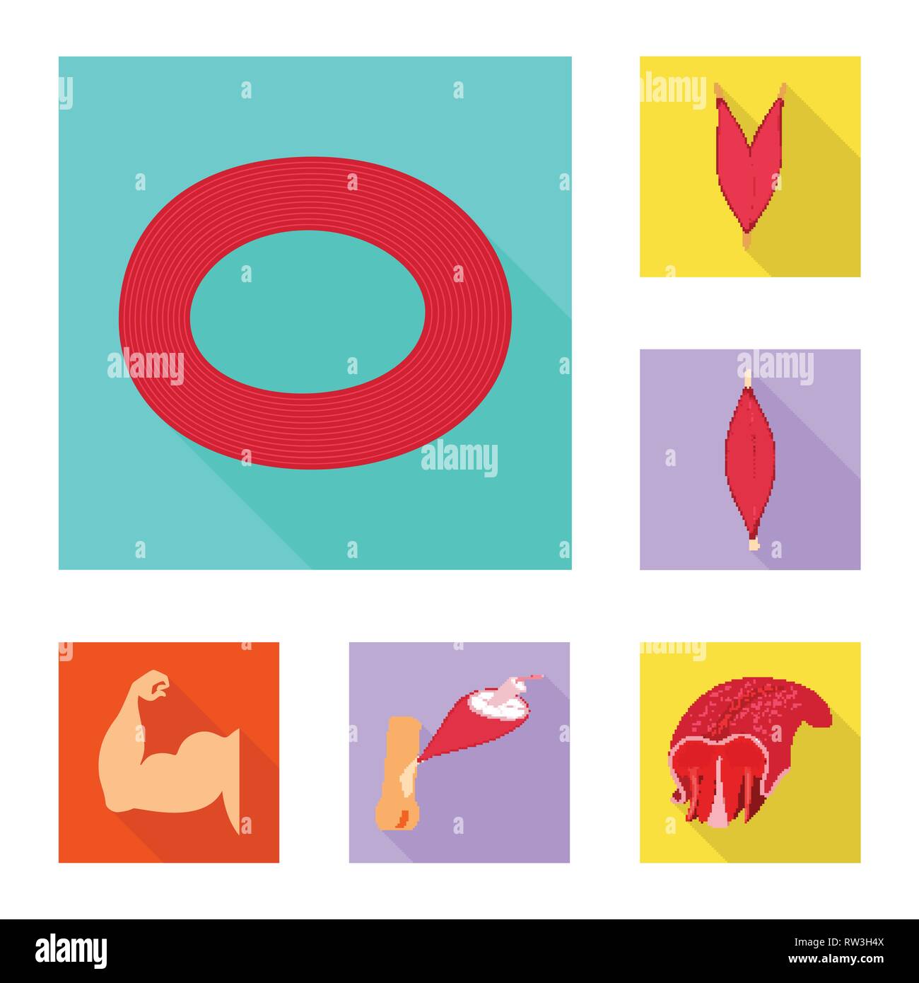 Isolated object of muscle and cells logo. Collection of muscle and ...