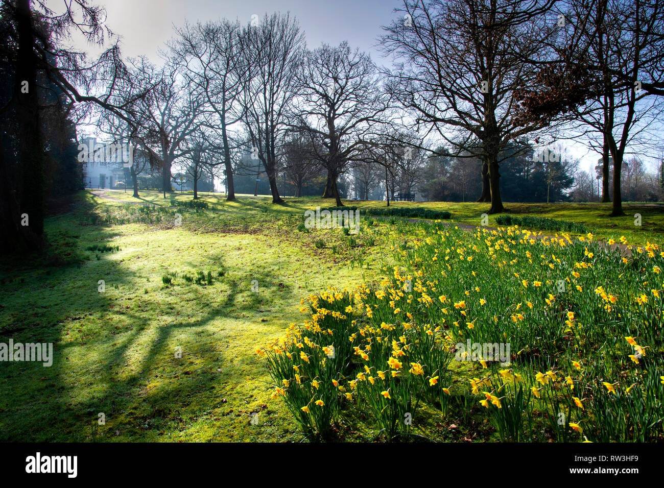 Malone house hi-res stock photography and images - Alamy